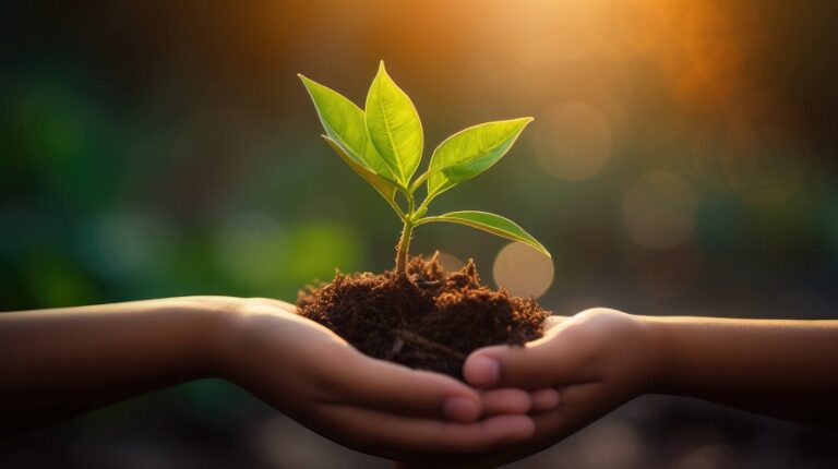 Nurturing Growth Through Innovative HR Strategies | Thebusinessblog.org